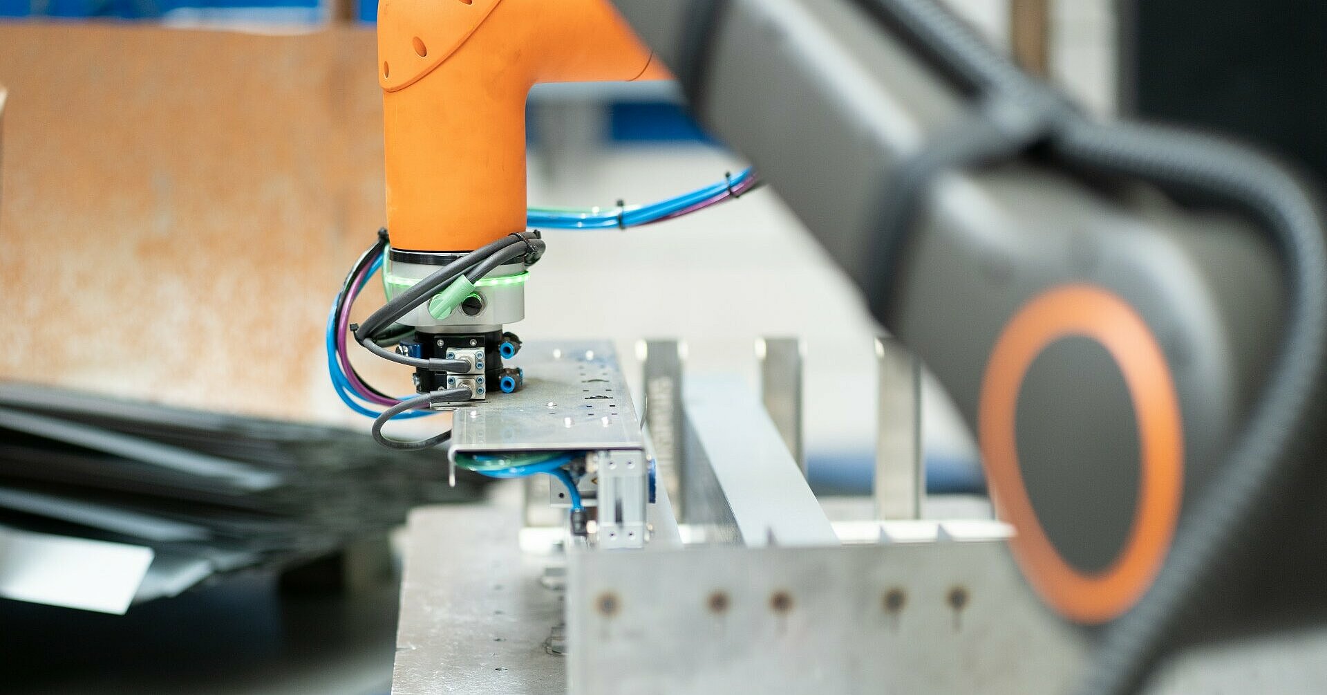 Vencomatic: Innovatie in Pluimvee, Samenwerking met NGO's Wereldwijd